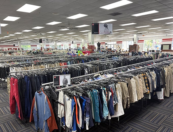 The clothing forest stretches to the horizon – racks upon racks of potential style transformations organized by size, type, and sometimes color.
