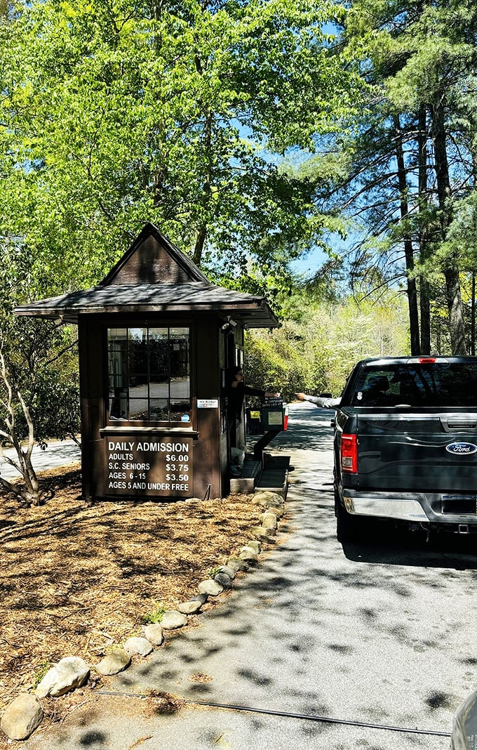 The humble entrance booth – gateway to adventures that cost less than a fancy coffee but deliver memories worth far more.