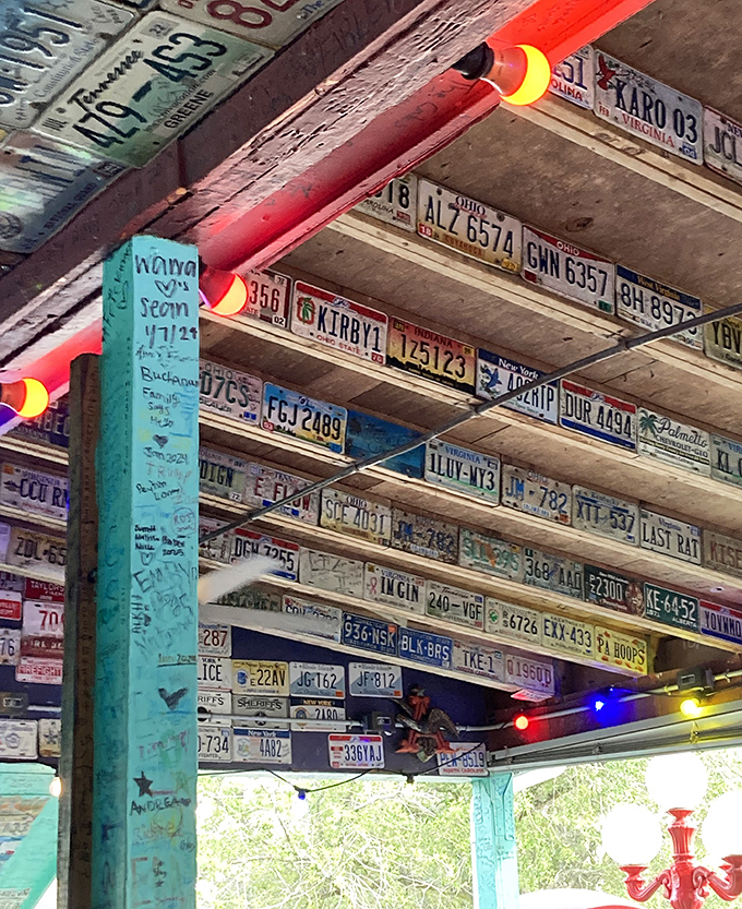 License plates don't just cover the walls—they're on the ceiling too. When decoration becomes obsession, magic happens.