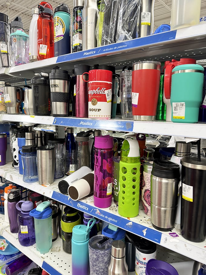 Water bottles in every conceivable shape and color—because staying hydrated should be as individual as your taste in secondhand treasures.