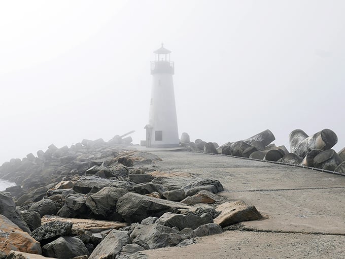 The lighthouse playing hide-and-seek in coastal fog creates the moody, atmospheric scene that California's coastline is famous for.