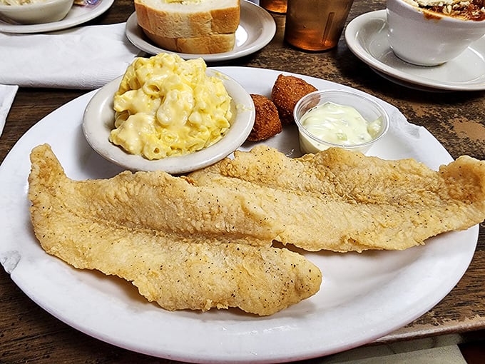 Golden fried fish with mac and cheese—proof that diners understand the fundamental truth that comfort food is the ultimate form of self-care.