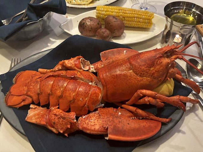 This isn't just a lobster—it's a crimson celebration of New England's maritime bounty that makes everyone at neighboring tables develop instant food envy.