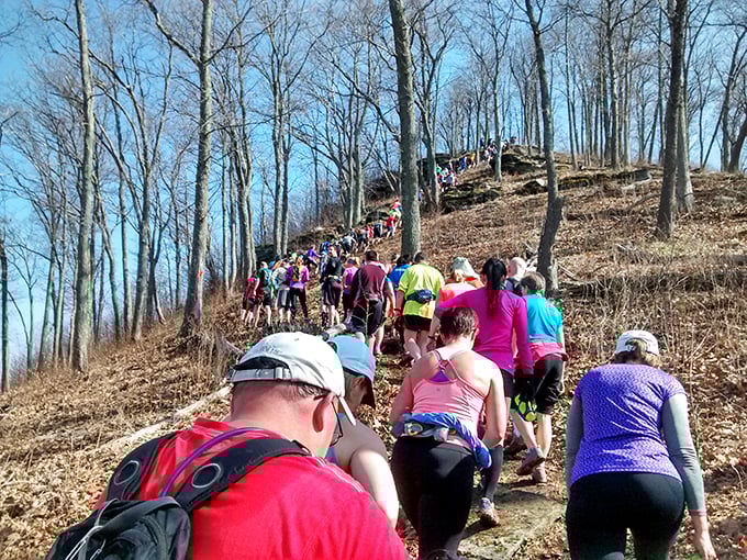 The Hyner Challenge trail race proves Pennsylvanians take their hiking with a side of "why not make it harder?" The state's most beautiful endurance test.