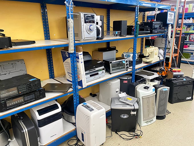 The small appliance section—where bread makers and air purifiers sit side by side like hopeful contestants on a talent show.