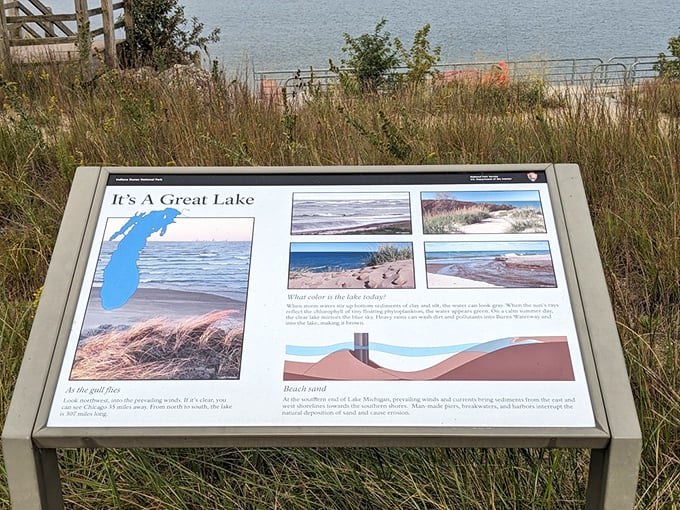 Educational signage that doesn't feel like homework – learning about the Great Lakes ecosystem while enjoying its beauty is multitasking at its finest.