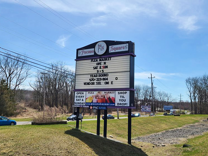 The roadside marquee promises year-round shopping adventures—a beacon of bargains calling to passing cars like a siren song for the thrifty.