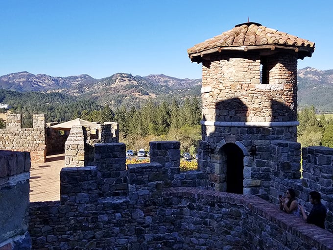 The view from the ramparts offers a strategic advantage for spotting approaching wine lovers. Medieval defense meets modern-day appreciation of panoramic vistas.