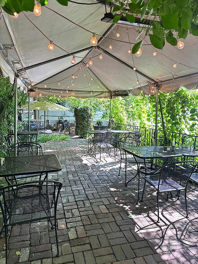 Dappled sunlight filters through the canopy of this outdoor dining oasis—string lights standing by for when evening falls.