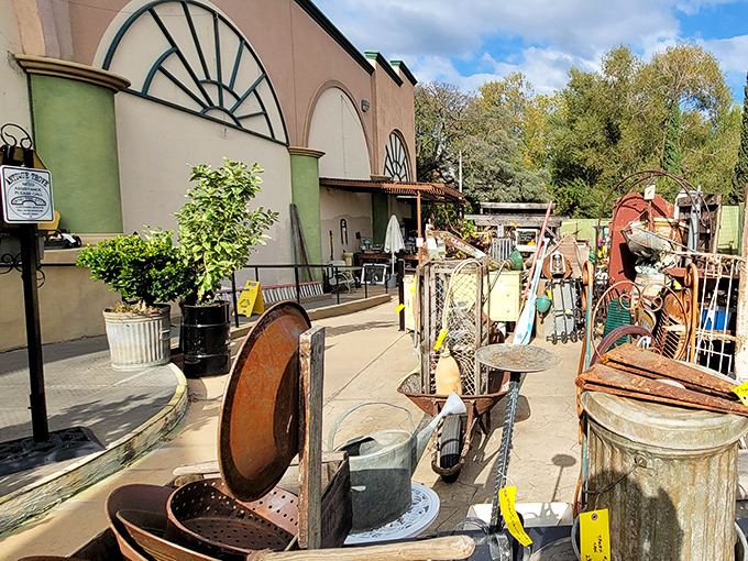 Even the outdoor section brims with rustic treasures—garden ornaments and weathered finds perfect for that Pinterest project you've been planning.