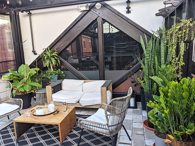 The plant-filled lounge area offers a tranquil retreat for pre-dinner drinks or post-meal digestifs.