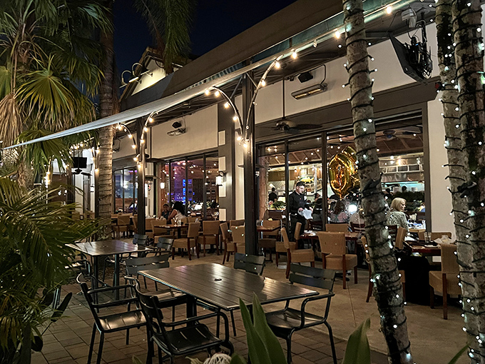Evening transforms the patio into a twinkling oasis. String lights and palm trees create the perfect backdrop for seafood memories in the making.