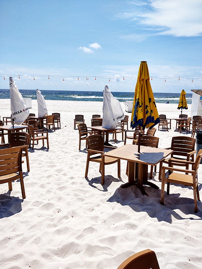 Tables in the sand where ocean breezes season every bite. This isn't just dining – it's the reason people move to Florida.
