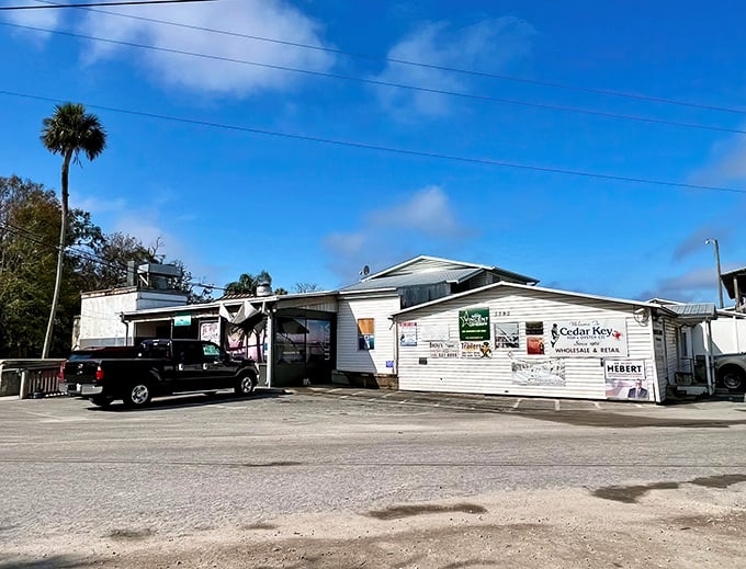 The Freezer's exterior doesn't scream "culinary destination"—it whispers "local secret." This unassuming building houses seafood worth traveling across Florida to experience.