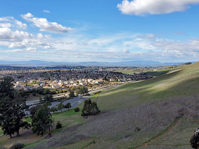 This hillside view of Vallejo reminds you that perspective is everything – especially when that perspective includes rolling hills, blue water, and housing prices that won't cause cardiac arrest.