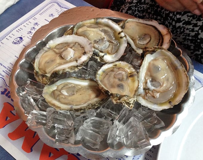 Oysters on ice—nature's perfect appetizer. These briny treasures need nothing more than a squeeze of lime and an appreciative palate.