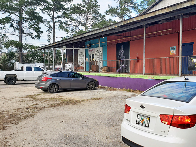 Even the parking lot has character—pine trees provide shade for treasure hunters' vehicles while they explore inside. Florida practicality at its finest.