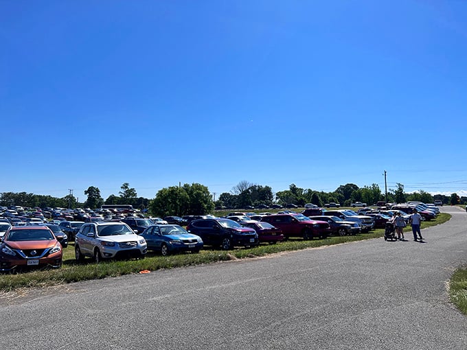 The packed parking lot tells the real story—Pulaski County Flea Market isn't just shopping, it's a weekend destination worth traveling for.