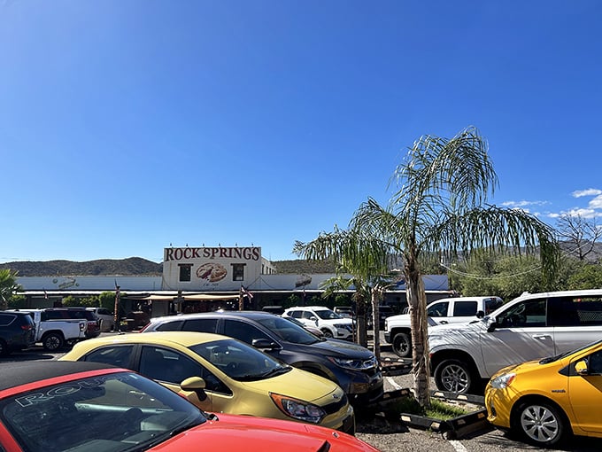 A parking lot full of license plates from across America—the universal sign that you've found somewhere special. Pie pilgrims have arrived.