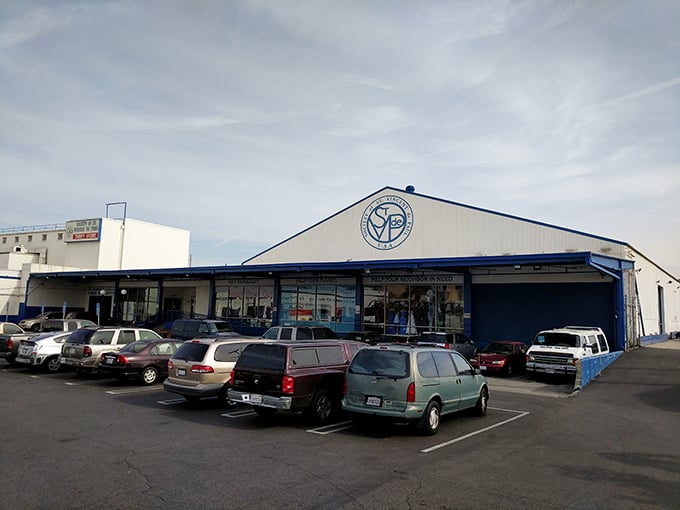 The parking lot view—where empty cars wait while their owners embark on treasure-hunting expeditions that inevitably last "just a few minutes longer" than planned.