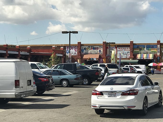 The parking lot—final frontier before discovery. Cars patiently waiting while their owners navigate the labyrinth of bargains within.