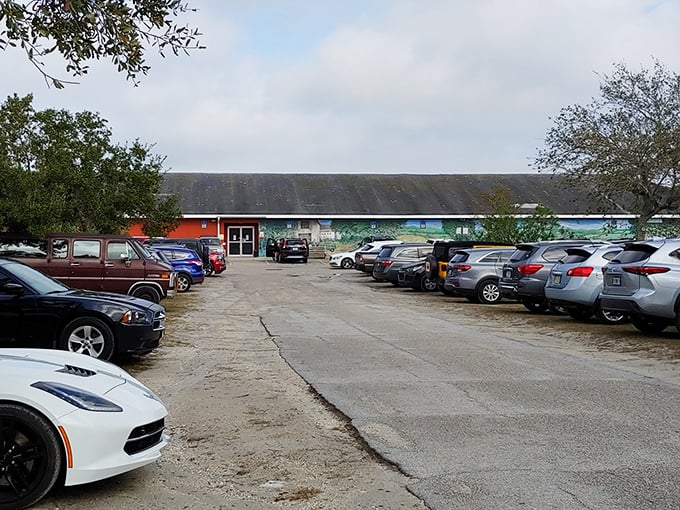The unassuming entrance to wonderland. This parking lot is Florida's version of platform 9¾—ordinary asphalt that leads to extraordinary discoveries.