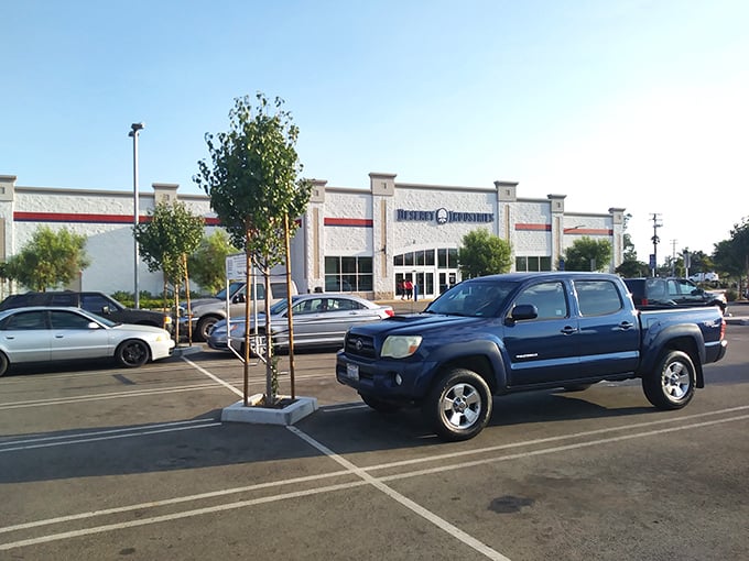 A spacious parking lot awaits—because you'll need somewhere to load all those incredible finds you never knew you needed.