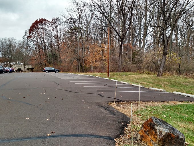 The peaceful parking area offers no hint of the comedic chaos inside – much like Moe's slicked-down haircut hiding his manic energy.