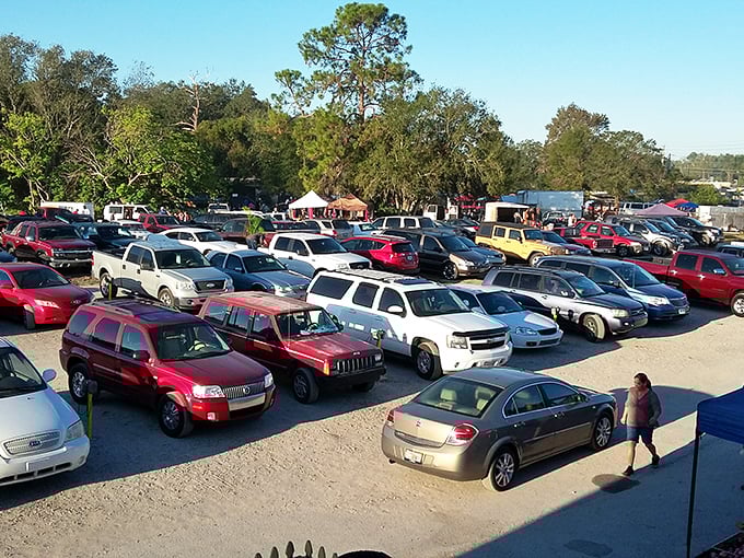 The packed parking lot—final resting place for empty wallets and staging ground for cars about to be filled with treasures that "just couldn't be left behind."