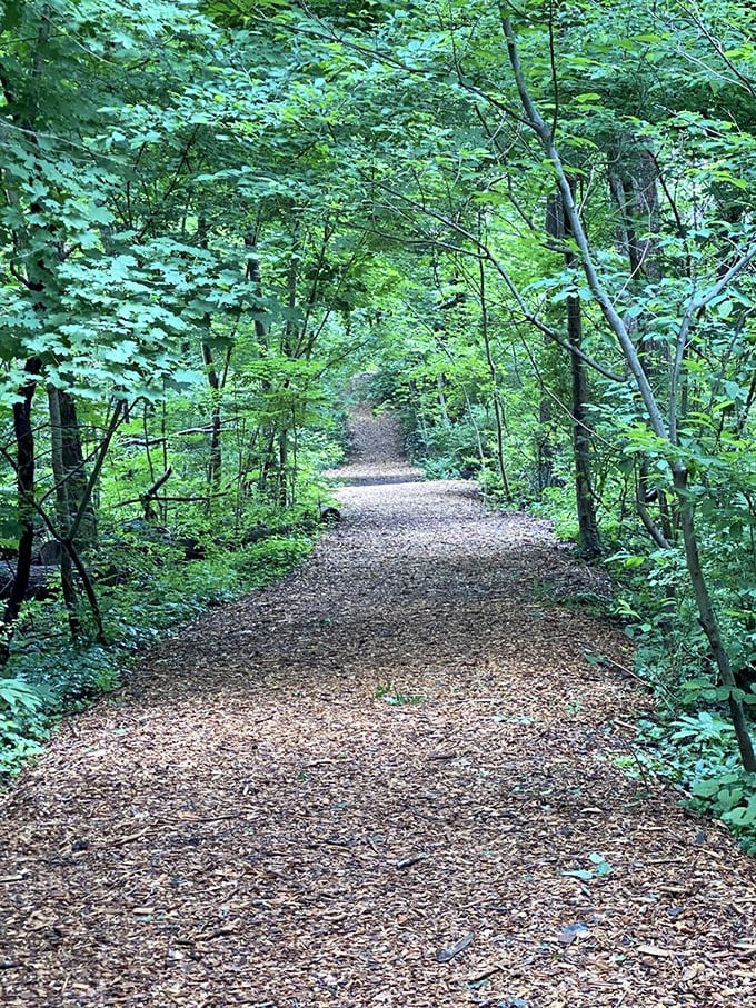 Beyond the castle walls, wooded paths invite contemplative wandering, a verdant counterpoint to the concrete magnificence of Fonthill.