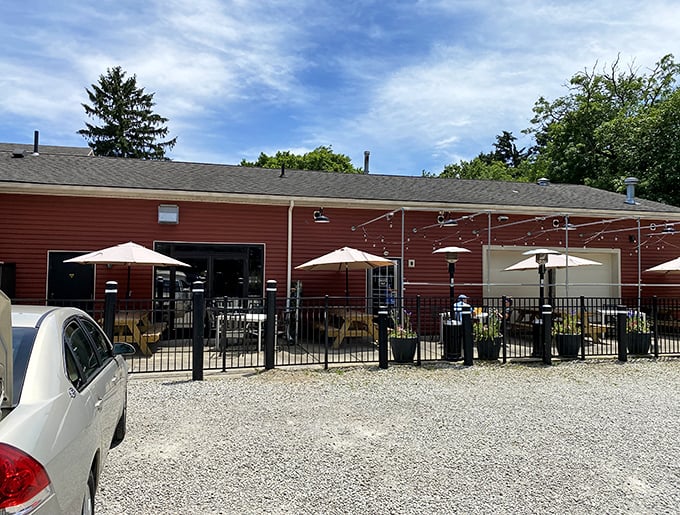 The outdoor patio – where fresh air, sunshine, and barbecue combine to create what scientists call "the perfect afternoon."