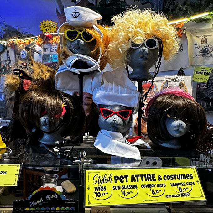 Pet costumes that ensure your dog will plot revenge while you sleep. Stylish humiliation has never been so affordable.