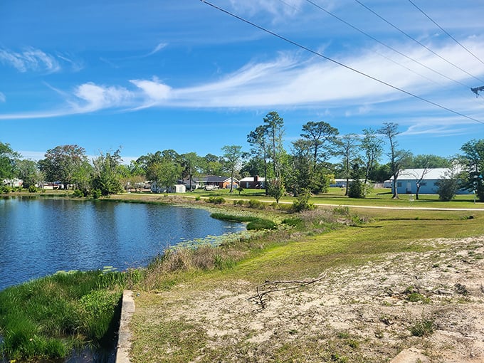 Appreciate lakeside living where modest homes enjoy waterfront views, proving the Florida dream doesn't require a seven-figure bank account.