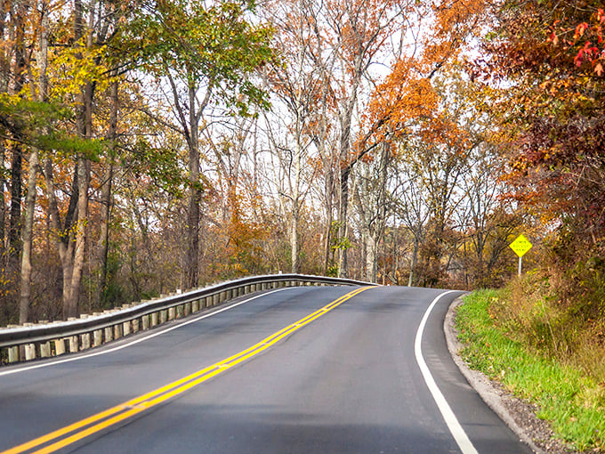 The perfect curve beckons around autumn-kissed trees. This isn't just a road—it's an invitation to discover what waits beyond the bend.