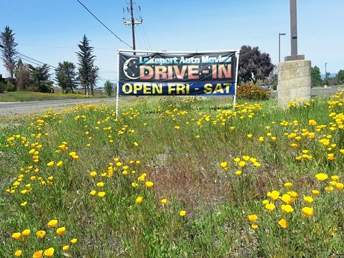 Spring announces the drive-in season with a carpet of wildflowers framing the cheerful sign—nature's way of rolling out the yellow carpet for moviegoers.