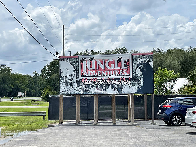 Roadside advertising that gets straight to the point: "Real Florida Animal Park" – because sometimes you need a break from the manufactured magic.