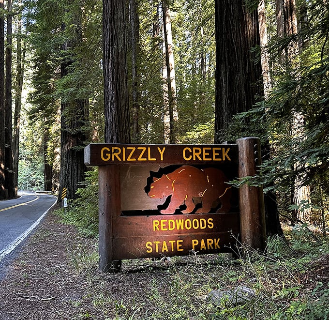 The park entrance sign—less a boundary marker and more a portal to the California that existed before highways and smartphones.