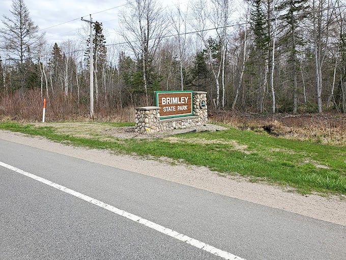 The unassuming entrance to paradise – Brimley State Park's sign promises little but delivers Michigan magic beyond the treeline.