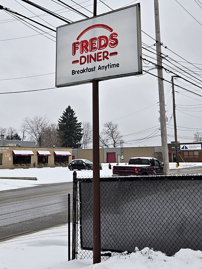 Even in winter, Fred's sign stands as a beacon for hungry travelers – promising warmth, comfort, and eggs cooked exactly how you like them.