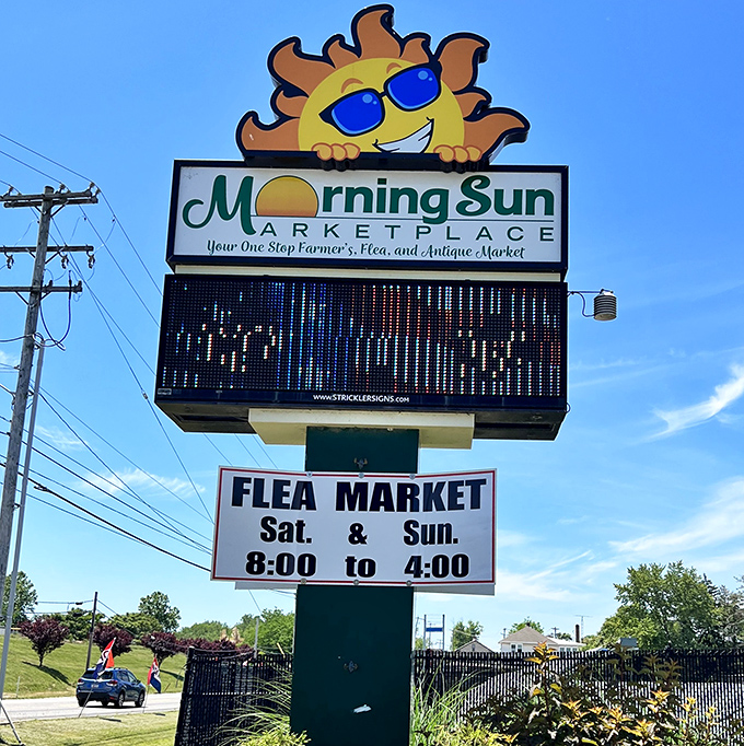 The cheerful sun mascot promises bright discoveries inside. Those weekend hours (8-4) are prime time for serious bargain hunters to strike gold.