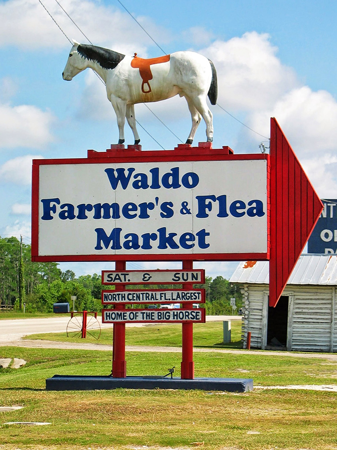 Not all who wander are lost—especially if they've spotted this iconic horse-topped sign pointing the way to weekend adventure.