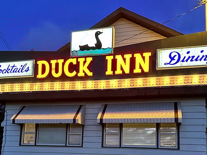 As dusk falls, the Duck Inn sign glows like a promise. Those illuminated letters have guided hungry travelers to delicious destinations for generations.