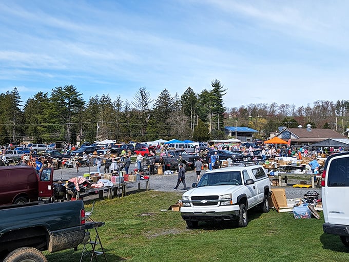 The grand overview—a sea of possibility stretching across the Pocono countryside. Each vehicle represents a mobile storefront of potential discoveries.
