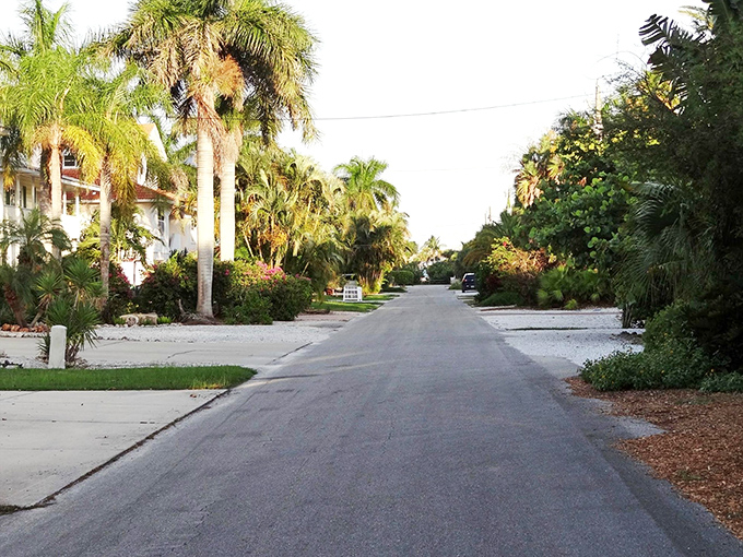 Palm-lined streets create natural tunnels of green, where island homes hide behind tropical gardens like shy celebrities.