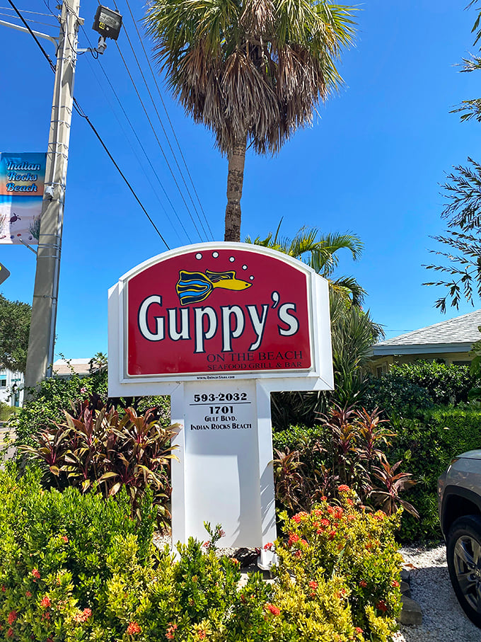 The cheerful Guppy's sign stands as a beacon for hungry travelers—a colorful promise of seafood excellence that locals have trusted for years.