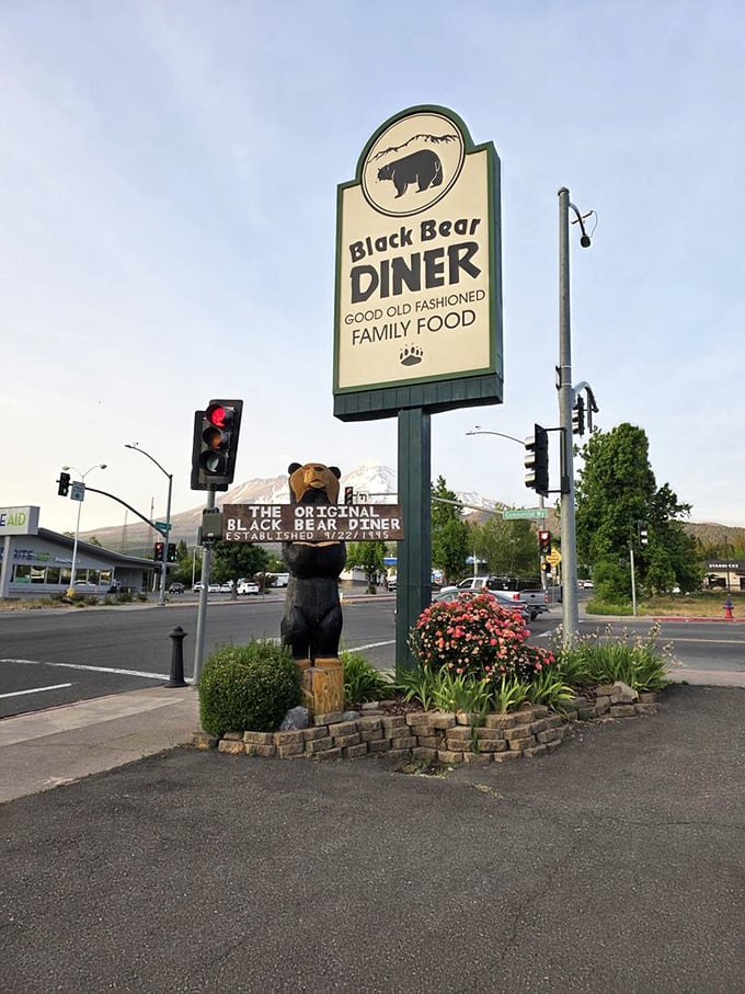 The iconic Black Bear Diner sign stands tall with Mt. Shasta in the background—a perfect pairing of natural majesty and comfort food promise.