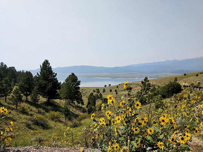 Where Eagle Nest Lake meets wildflower meadows, creating the kind of scene that makes you pull over and pretend you're in a movie opening sequence.