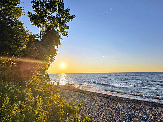 Lake Erie sunsets paint the sky in impossible colors, turning ordinary moments into the kind you remember forever. Nature's greatest show, admission free.