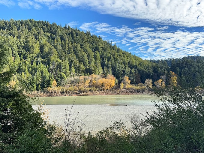 The Eel River valley unfolds like a landscape painter's masterpiece. This waterway has been carving its path alongside the ancient forest for millennia.