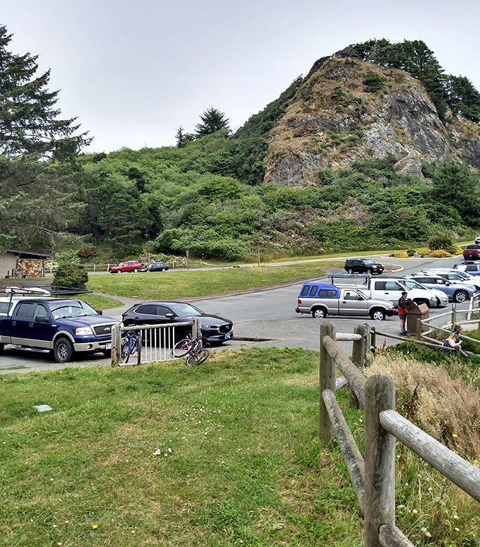 Even the parking lot has a view at Harris Beach. That's not a hill—it's nature's way of saying "just wait until you see what's next."